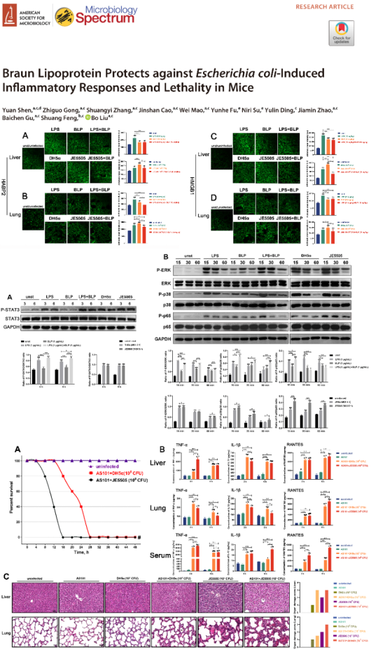 兽医学院师生在国际学术期刊《Microbiology Spectrum》发表研究成果-内蒙古农业大学兽医学院